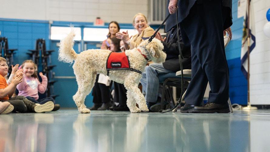 First Lady Justice introduces newest Friends With Paws therapy dog at ...