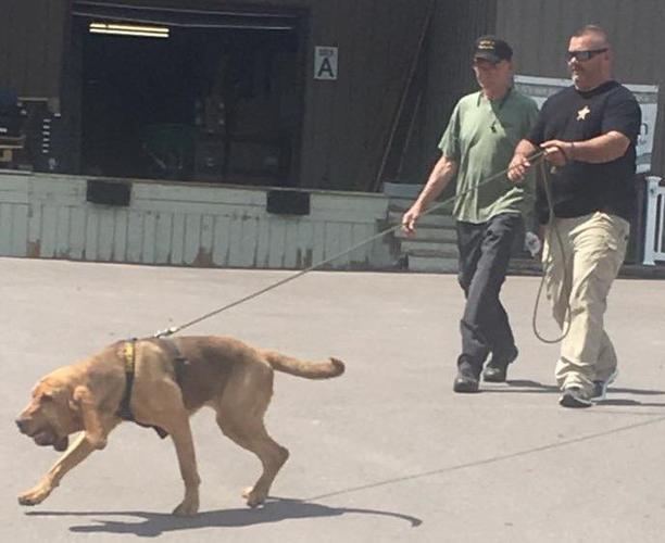 National Police Bloodhound Association training held | | wvnews.com