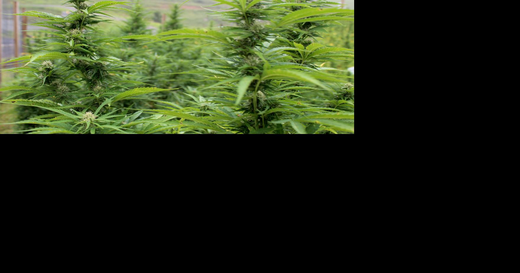 Hancock County Schools Introduces Policy to Address Student Possession ...