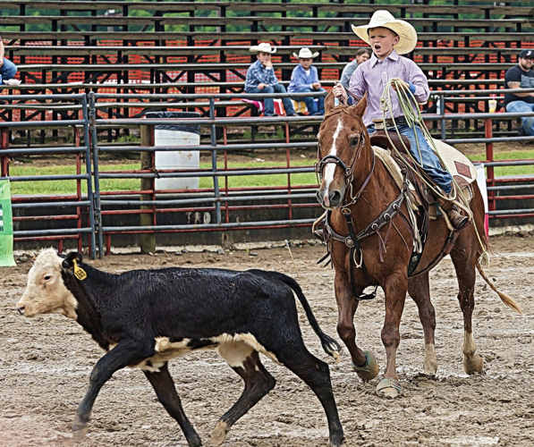 2024 Mineral County Fair Entertainment | | wvnews.com