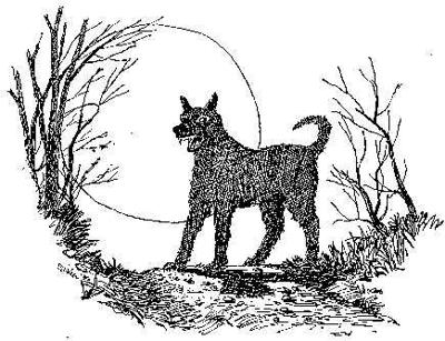 Cryptids of West Virginia: from Mothman to Ogua and beyond | WV News ...