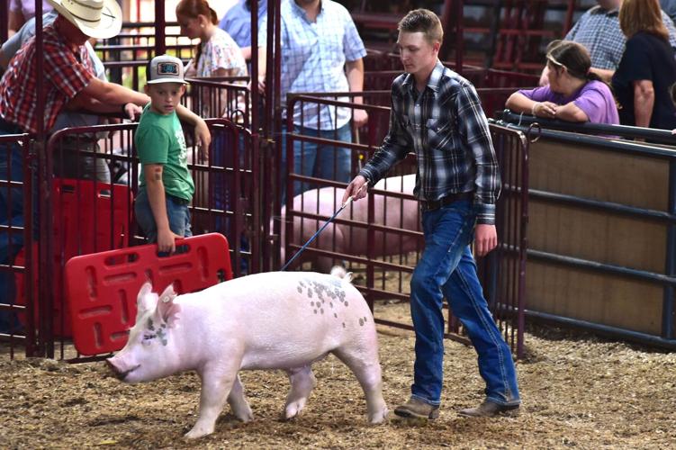4-H youth showcase skills at WVU Extension's Jamboree at the Mill at ...