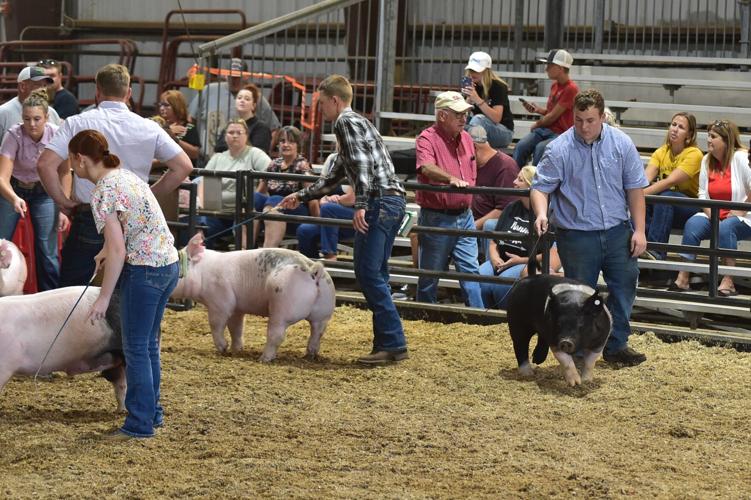 4-H youth showcase skills at WVU Extension's Jamboree at the Mill at ...