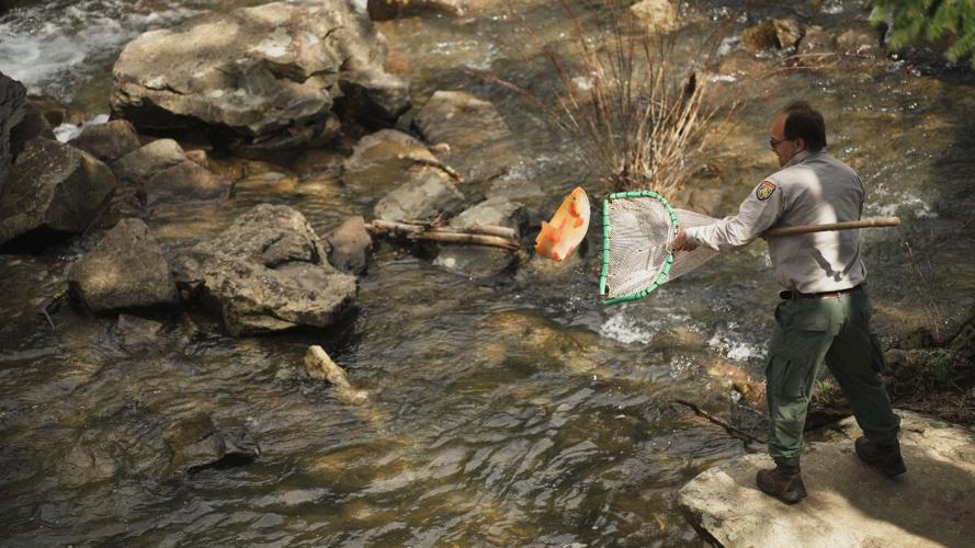 Gov. Justice announces largest West Virginia Gold Rush to date | WV ...