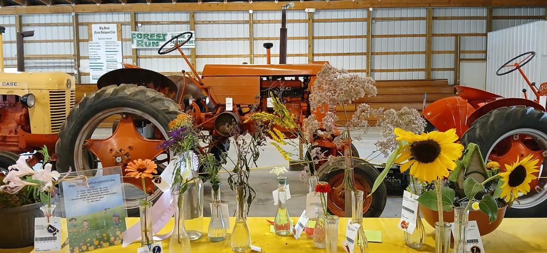 Meigs County Fair Flower Show again delighted visitors with a second ...