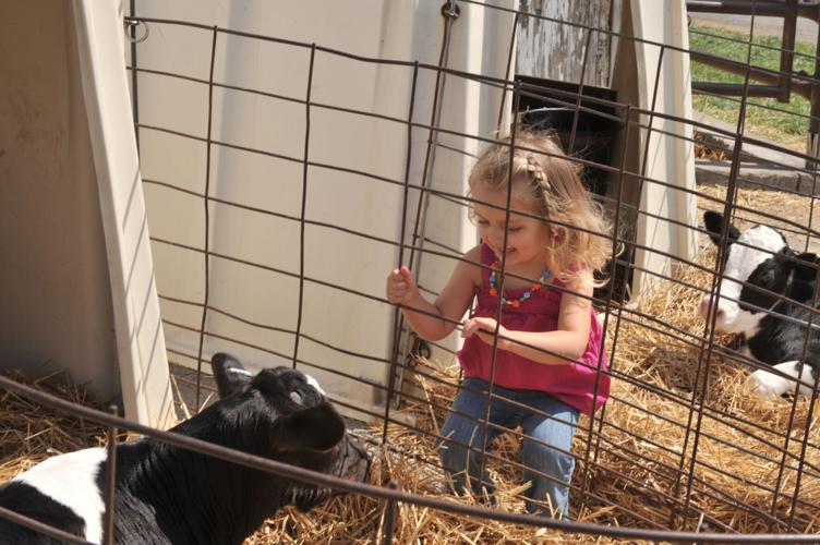 WVU researcher designing guide for small farms joining agritourism ...