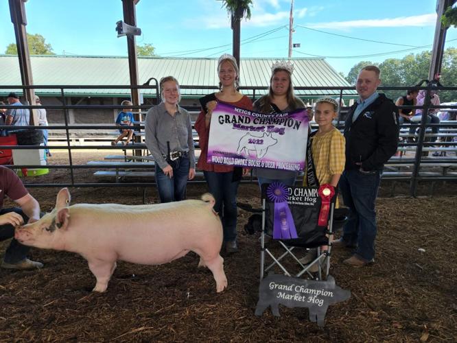 Meigs County Fair Livestock | Gallipolis, Pomeroy, Point Pleasant and ...
