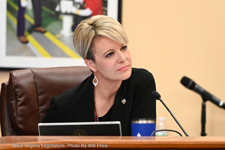 West Virginia legislators receive update on science of reading | WV ...