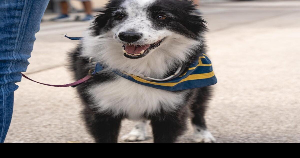 Lucy Pickles | | wvnews.com