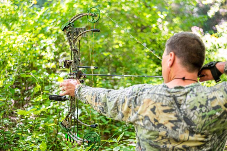 Urban deer hunting opens in Bridgeport, West Virginia, in mid-September ...