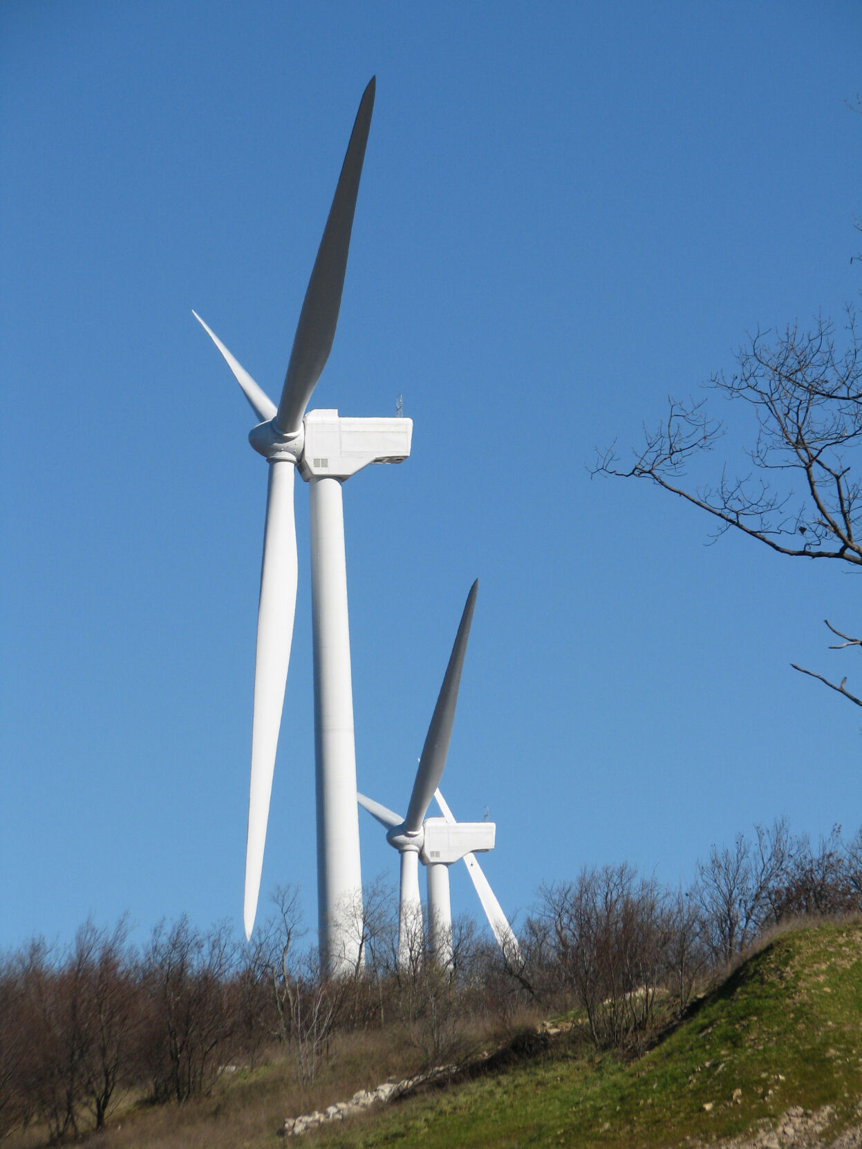 Wind Force Foundation accepting grant applications | Mineral County WV ...