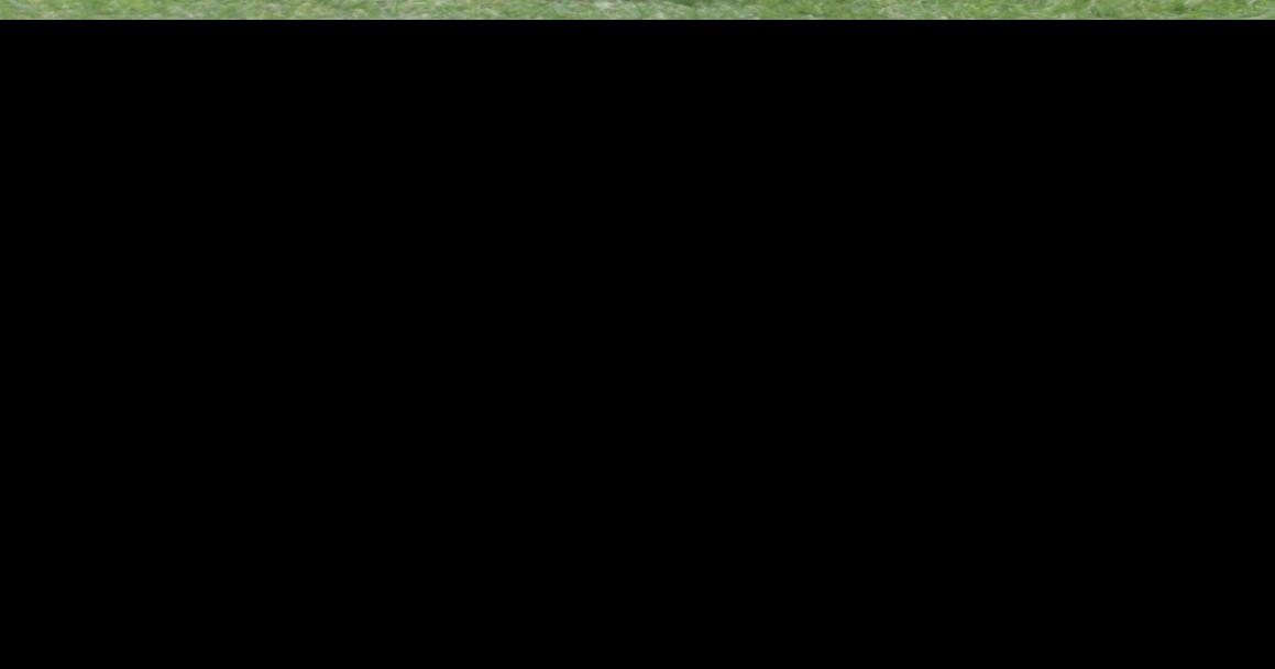 Berryman, Zorick help Liberty girls, Bridgeport boys to Harrison County ...