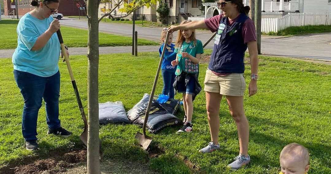 Weston Tree Commission launches beautification projects with help from ...