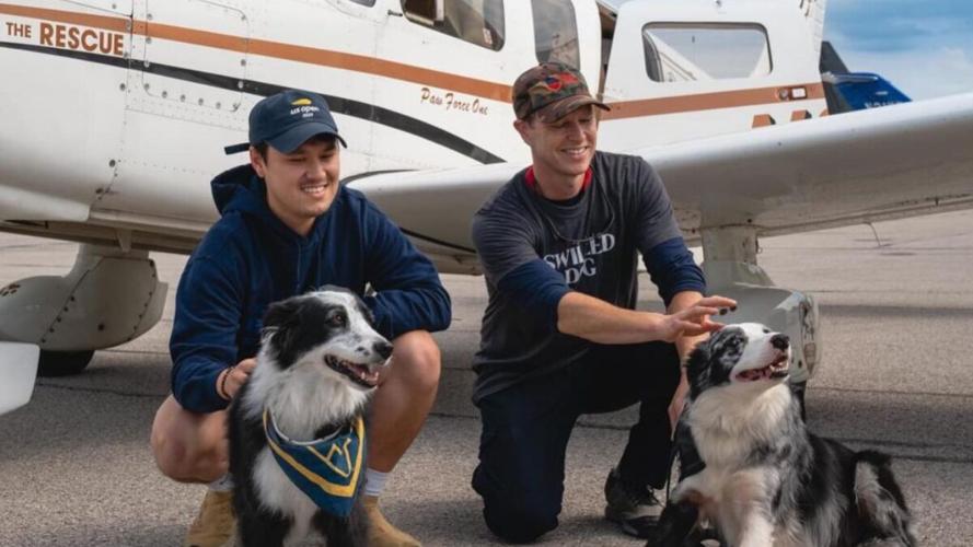 'Pilots to the Rescue' flies 16 dogs to forever homes in Michigan | WV ...