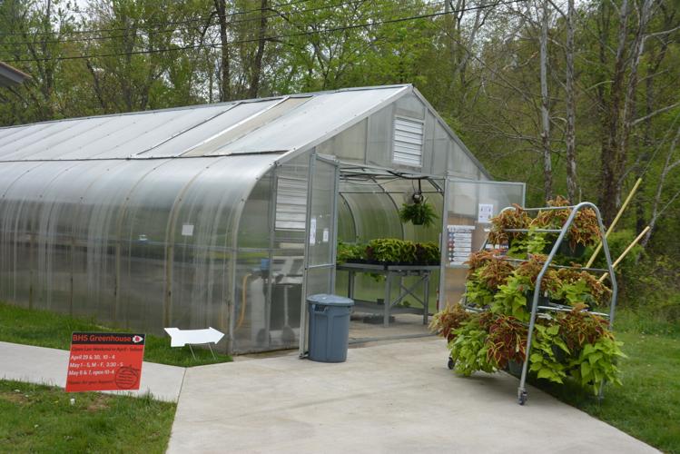 'Exceptionally beautiful' flowers, vegetables now available for sale in ...