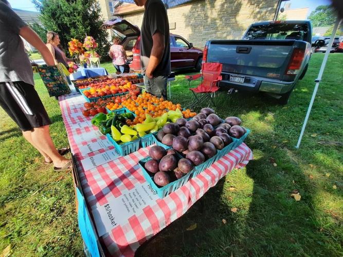 County Seat Farmers Market announces June return to Kingwood’s McGrew ...