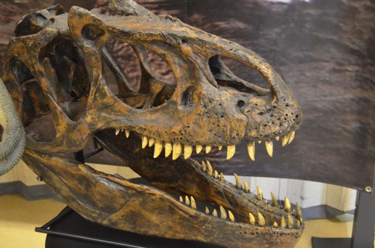Dinosaur and fossil exhibit opens at Harrison County (West Virginia ...