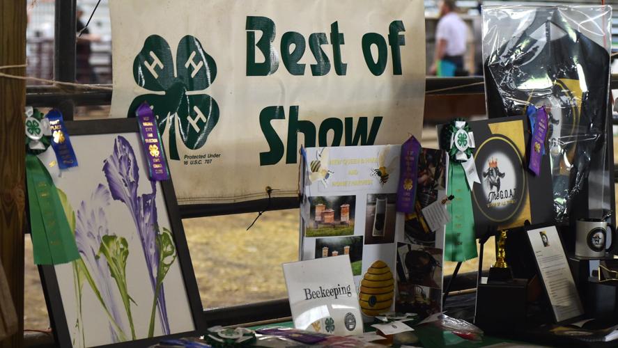 4-H youth showcase skills at WVU Extension's Jamboree at the Mill at ...