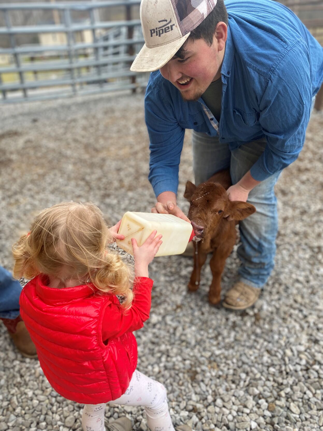 South Harrison FFA members receive Regional Star awards | | wvnews.com