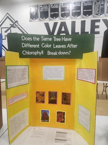 River Valley High School Science Fair showcases over 90 projects ...