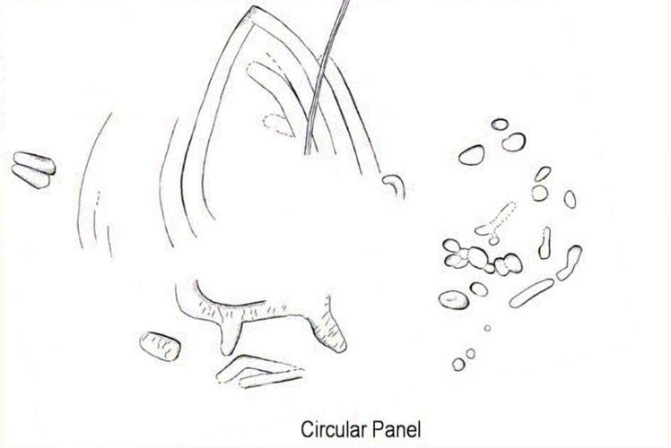 Cave markings identified as oldest known Neanderthal engravings ...