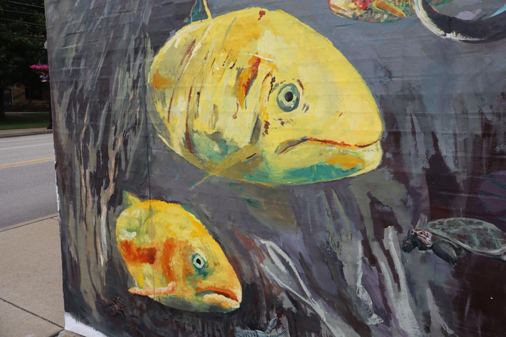 Golden Trout | | wvnews.com