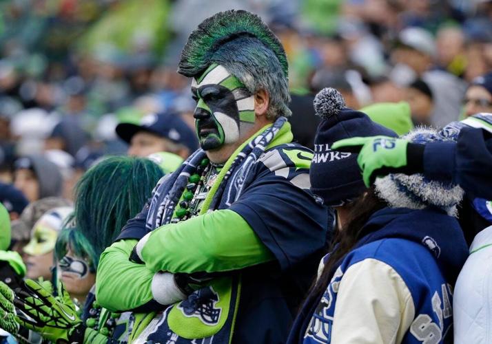 Photos: 10 photos of crazy Patriots, Seahawks fans | News for Mineral ...