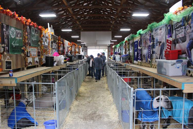 The Cow Palace: Iconic building provide perfect showcase for Buckwheat ...