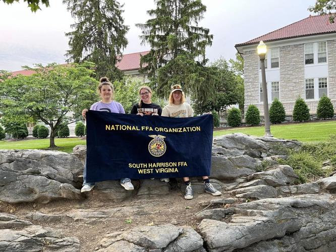 South Harrison FFA receives honors at multi-state events | Harrison ...