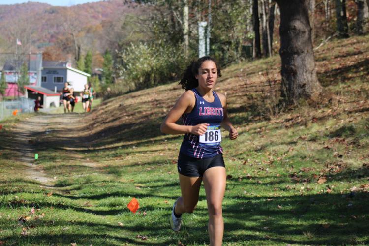 Lincoln's Nick Kellar and Liberty's Destiny Berryman receive AOW honors ...