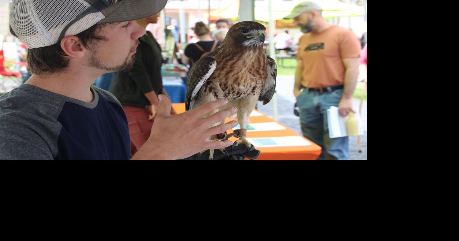 West Virginia Raptor Center rescues adult osprey in part of community ...