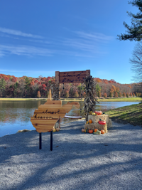 West Virginia adds 2 new Almost Heaven swings to scenic locations | WV ...