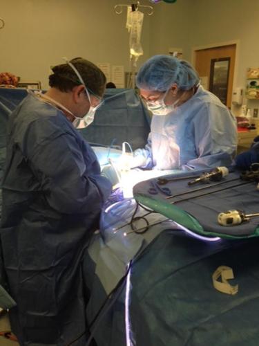 Physician aids in fight against colorectal cancer | Garrett News ...
