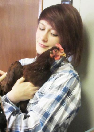 Ridgeley Council upholds chicken ruling | News for Mineral County, WV ...