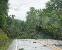 Pritt Mountain damage | | wvnews.com