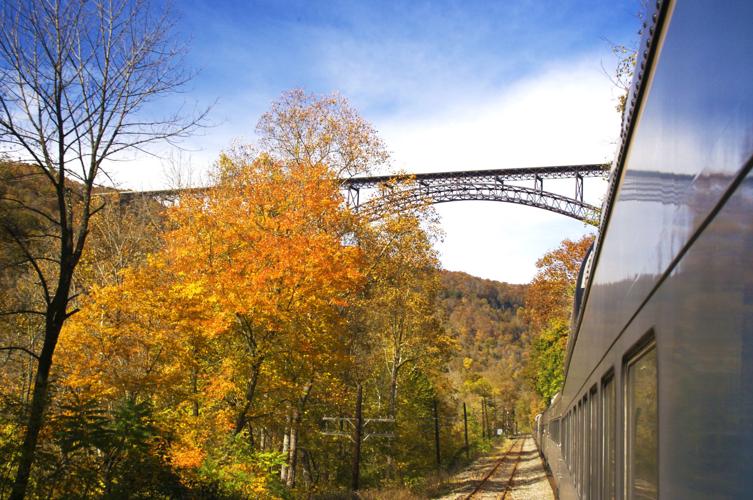Officials hopeful for salvation of New River Train excursions ...