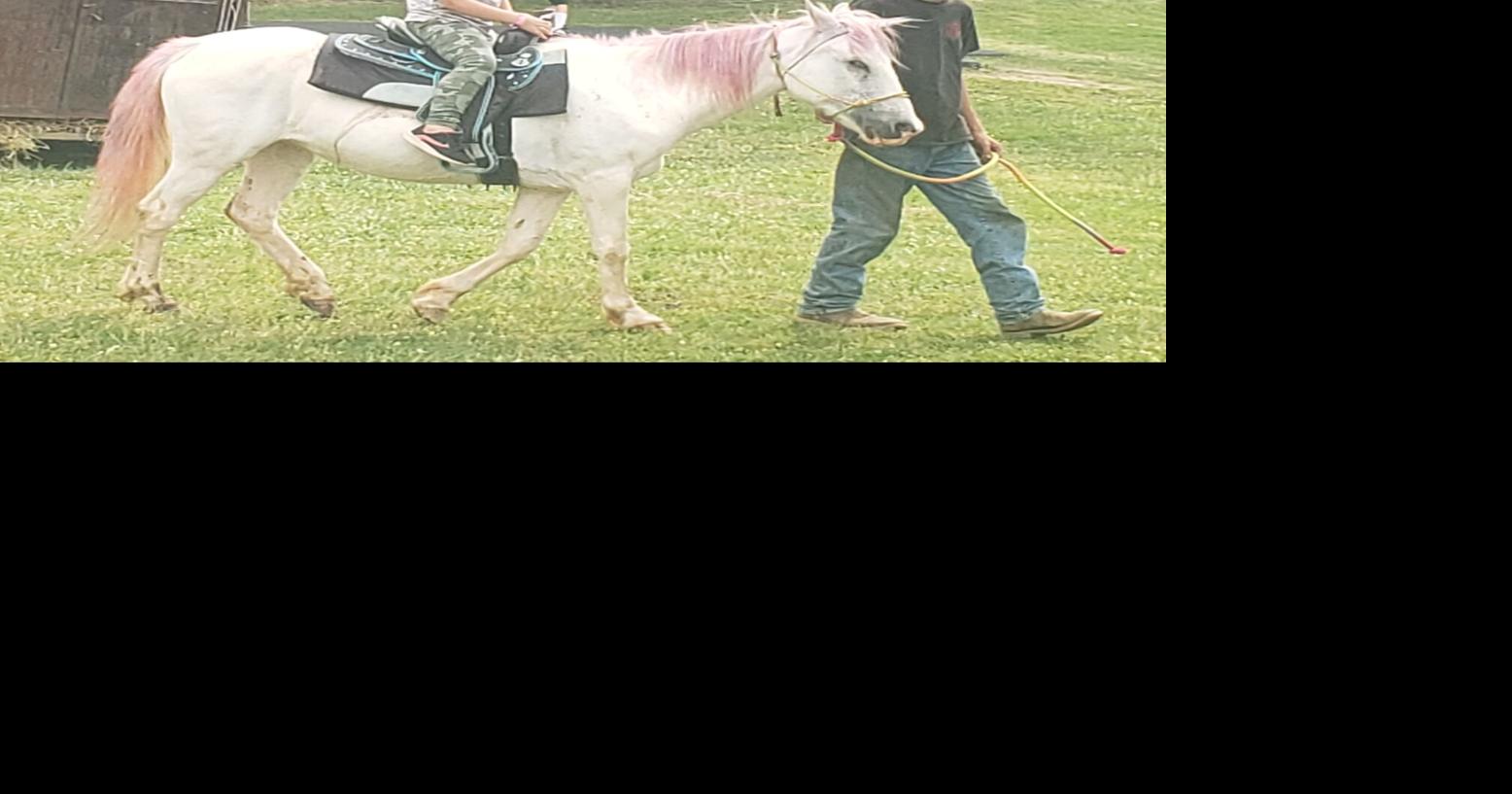 Family fun day held at Nutter Fort Park in West Virginia | Local News ...