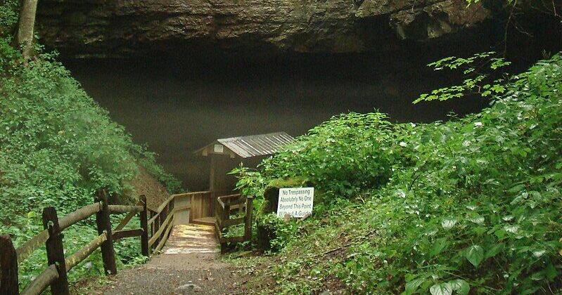 Exploring the Depths of History: Organ Cave in West Virginia | WV News ...