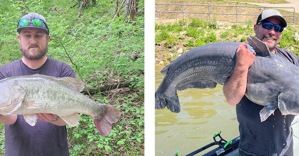 Record-breaking bass, catfish caught in West Virginia mark fifth and ...