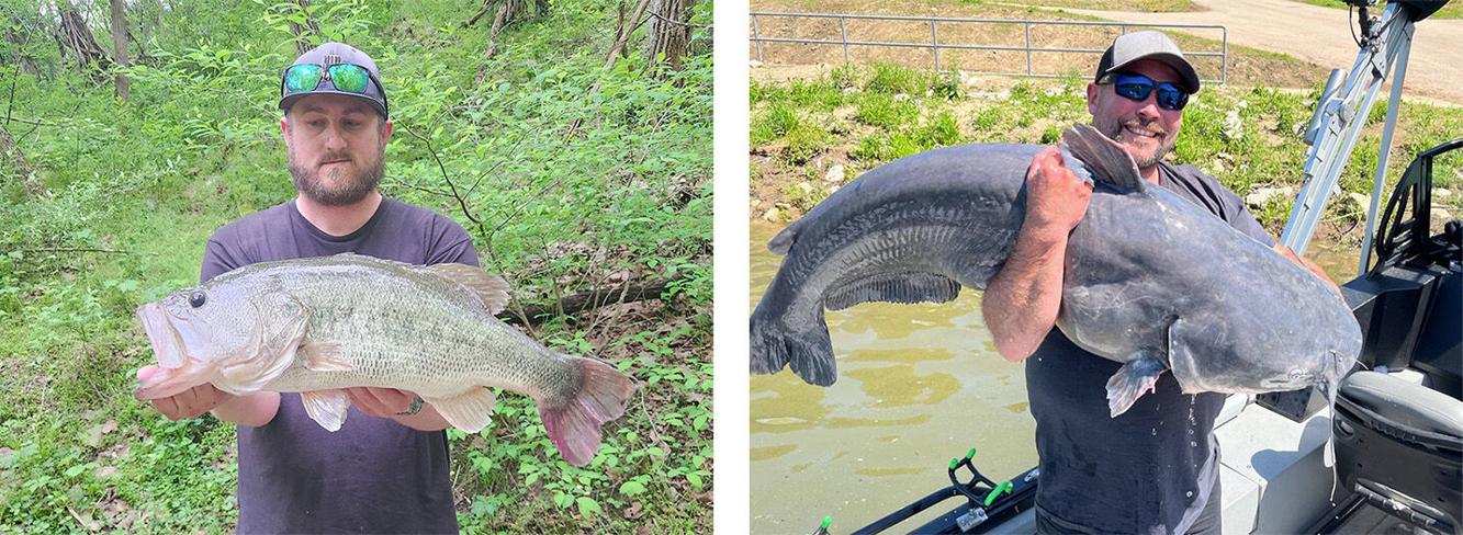 Record-breaking bass, catfish caught in West Virginia mark fifth and ...