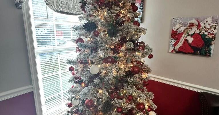 Parks & Rec names Christmas tree contest winners | | wvnews.com