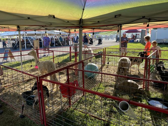 Monongalia County (West Virginia) Fair to wrap up Saturday | Morgantown ...