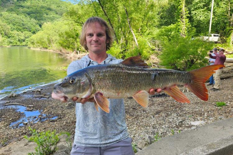Three West Virginia fishing records broken this spring | WV News ...