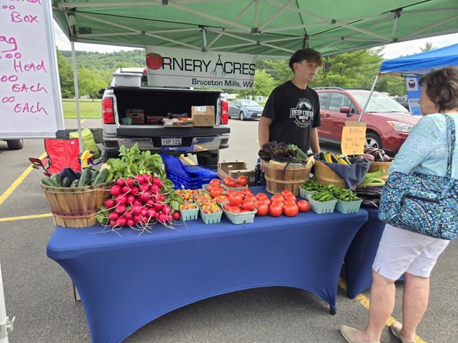 County Seat Farmers Market announces June return to Kingwood’s McGrew ...