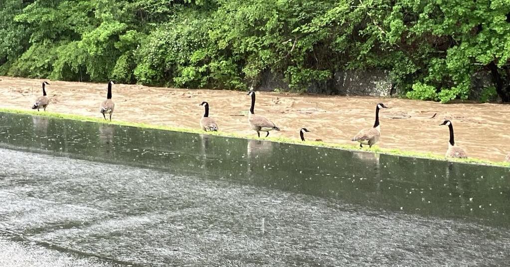 Flood waters create havoc as Keyser gets hit by over 6 inches of rain ...