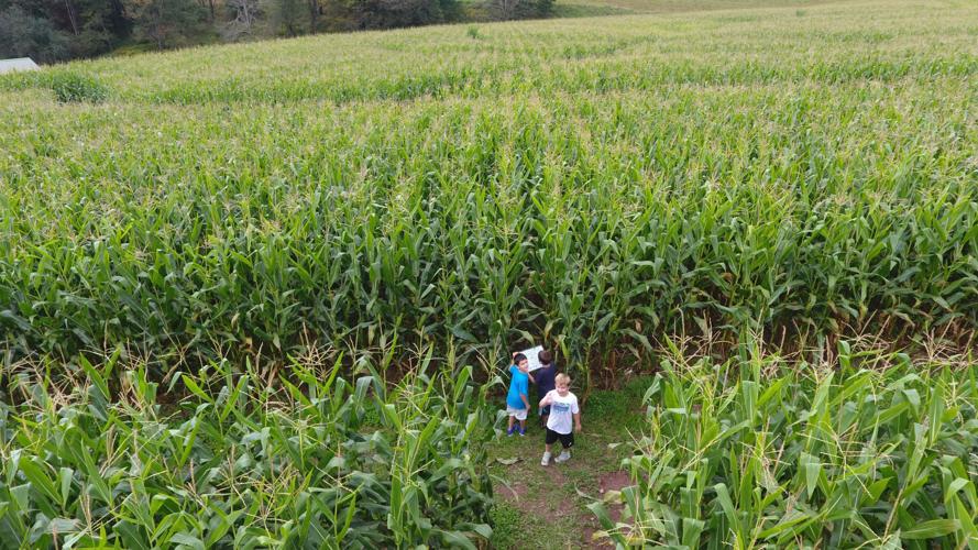 Cove Run Farms Corn Maze to open for 20th season | Garrett News ...