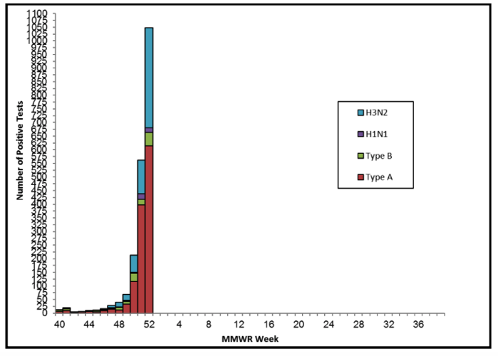 Flu reaches epidemic levels; residents advised to avoid crowded places ...