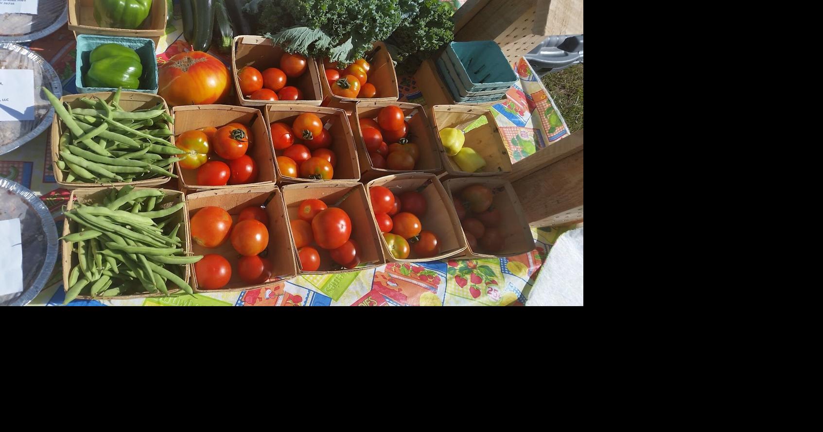 Home gardening in West Virginia: What to grow and when | WV News ...
