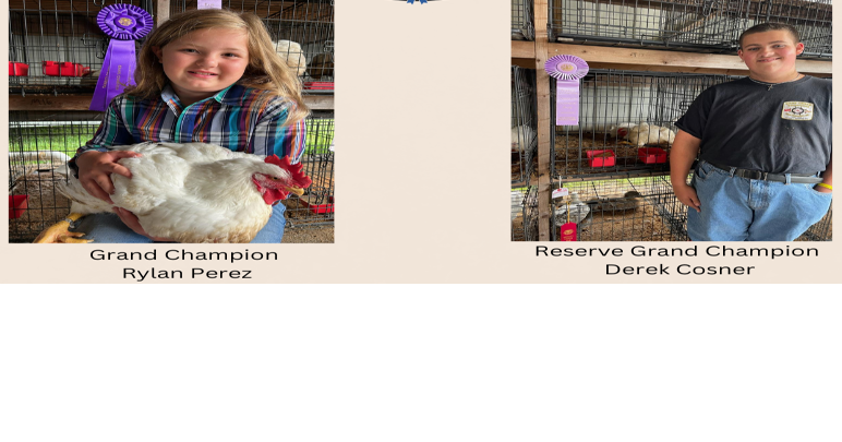4-H/FFA Pen of 2 Market Poultry Champions | | wvnews.com
