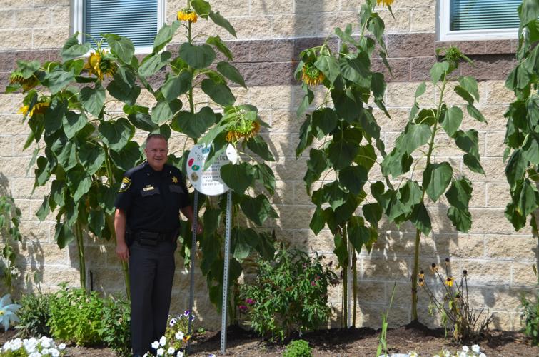 Beautified space sprouts behind Harrison Sheriff's Office Law ...